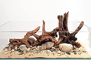 LANDEN Panna Natural Driftwood for Aquarium Decor Freshwater Fish Tank(12-14 inches, 30-35cm) 4pcs Terrariums Vivariums Reptile and Amphibian Enclosures Lizard Bearded Dragon Tortoise Various Shapes
