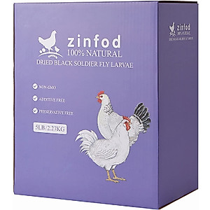 kimoe Dried Black Soldier Fly Larva 5lbs for Wild Bird,Chicken More Calcium Than Dried Mealworms