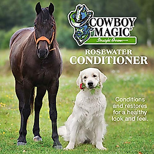 Cowboy Magic Rosewater Shampoo + Conditioner 32 Ounce Each