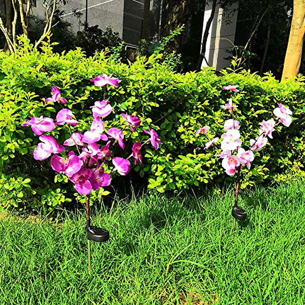 Crisist Solar Pathway Light, Beautiful Elegant Solar Power 2Pcs/Set Garden Light, for Home Outdoor