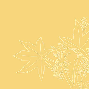 SheaMoisture Styling Black Edge Control Gel For Curly Hair Jamaican Black Castor Oil and Flaxseed Paraben-Free Anti-Frizz Hair Gel 3.5 oz