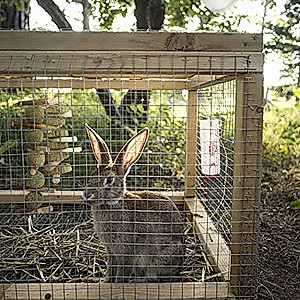 Cathpetic Perfect Rabbit Chew Toys - Guinea Pig Toys Natural Timothy Hay Chinchilla Toys, 100% Hand Made Rabbit Treats Apple and Wood Sweet Bamboo, Small Animal Chew Treat for Rodents Teeth Care