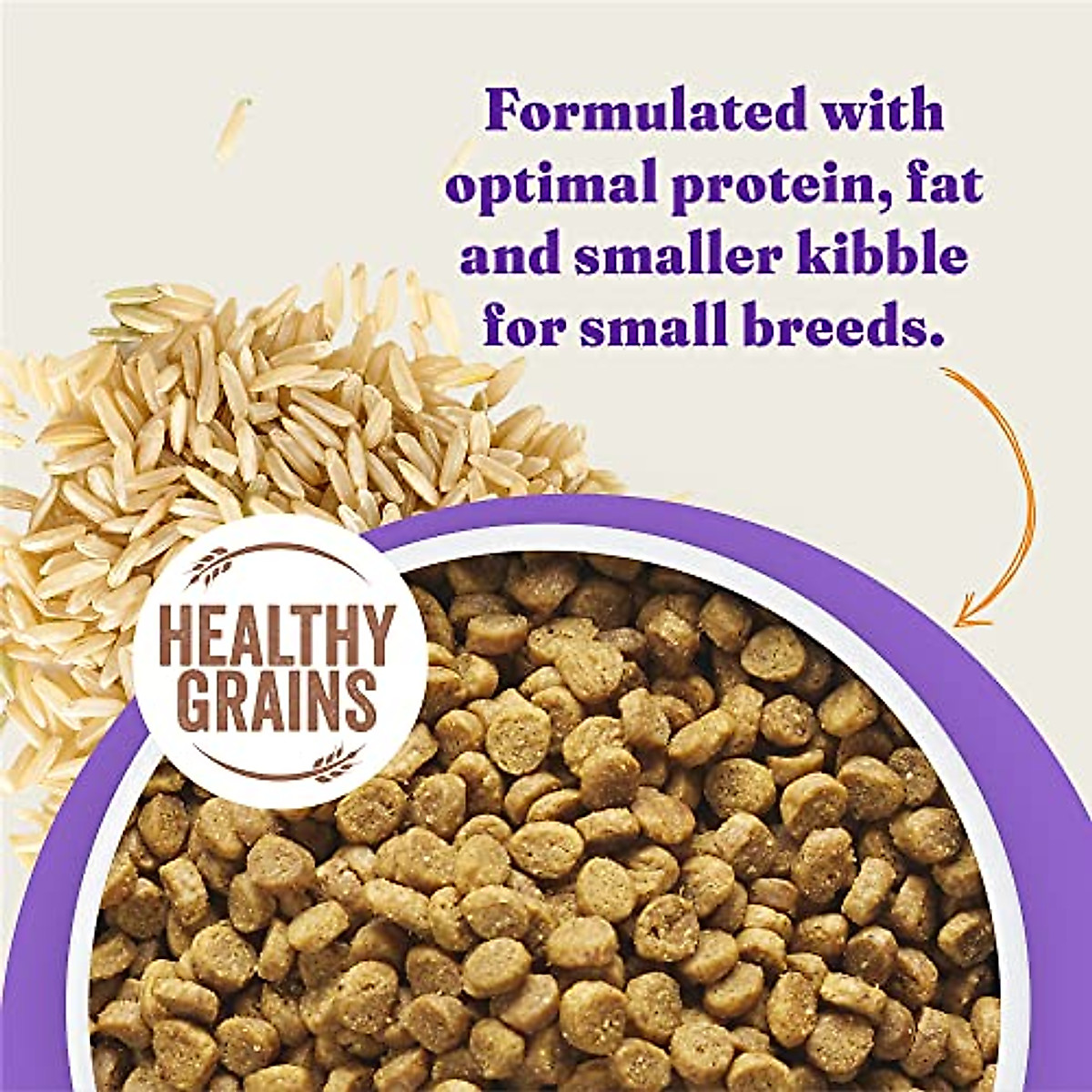 Halo Holistic Dog Food, Complete Digestive Health Cage-Free Chicken and Brown Rice Recipe, Dry Dog Food Bag, Small Breed Formula, 10-lb Bag