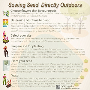 Outsidepride 5 lb. Perennial White Dutch Clover Seed for Erosion Control, Ground Cover, Lawn Alternative, Pasture, & Forage