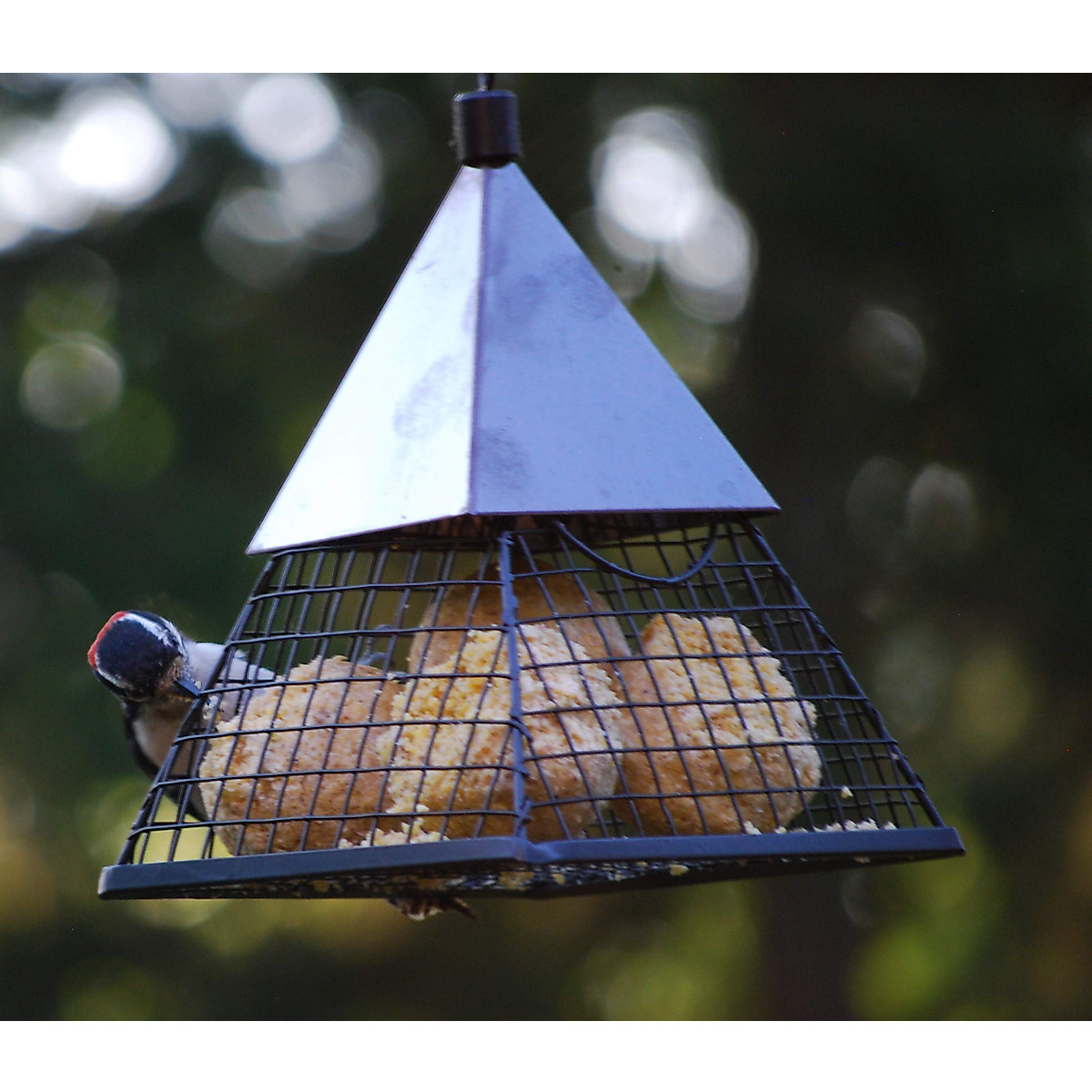 Wildlife Sciences Suet Balls 24 Pack, 6 Individually Wrapped Packs of 4 Bird Suet Balls (Peanut Blend)