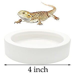 2 Pcs Reptile Food Bowl Ceramic Water Feeder Bowls Anti- Escape Mini Reptile Feeder for Lizard, Gecko etc, Round