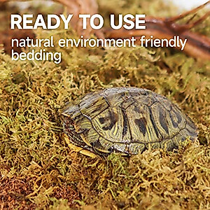 LUVCOSY Reptile Coconut Fiber Substrate & Forest Moss Combo Clean Bedding Accessories for Bearded Dragon/Snake/Lizard/Gecko/Tortoise, Tarantula Terrarium Tank Humidity Control and Odor Absorbent