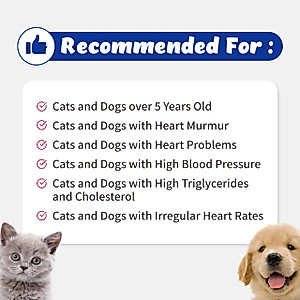 Branvine Joint Guardian for Cats and Dogs - Supports Joint, Muscle and Ligament (220.5g) with OptiMSM®, Curcuvet®, Collagen I,II,III (Joint)