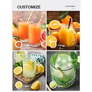 Electric Citrus Juicer, Reemix Lemon Squeezer with Brushed Stainless Steel Body, Fully Automatic One-click Operation Orange Squeezer, Black+Silver