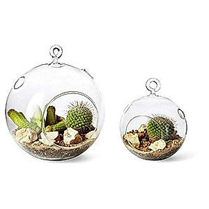 2 Clear Globe Terrarium Plastic 4.5" x 4.5" x 5,5" DIY Create Your own Hanging Planter Stand Kids Crafters Wedding Air Plants Succulents Orbs Candles + Jute tie- Steelpangal