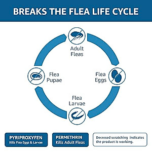 Amazon Basics Flea, Tick & Mosquito Topical Treatment for Medium Dogs (11-20 pounds), 6 Count (Previously Solimo)