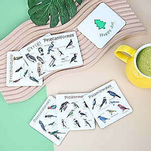 Bird Coasters, 6PCS Bird Coasters with Gift Card, Handmade Coasters for Drinks, Square Wooden Coaster Set for Bird Lovers Friends Home Kitchen Decor Bar Housewarming Gift (Birds)