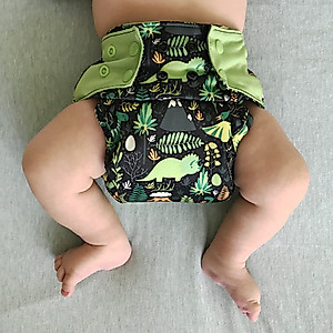 Reusable Waterproof Diaper Cover Shell: for Baby Prefold Cloth Diapers, Flats, Fitted or Inserts (Whale)