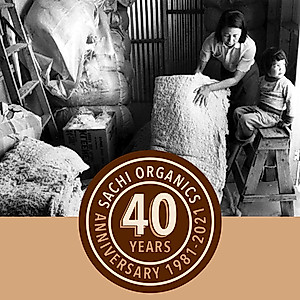 Sachi Organics Buckwheat Cylinder Neck Pillow