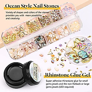 Acrylic Powder And Liquid Set, LOUINSTIC Acrylic Nail Kit Acrylic Nail Powder With Acrylic Nail Brush Cleaner Primer Nail Rhinestones Glue Gel All-in-one Nails Kit Acrylic Set de uñas acrílicas