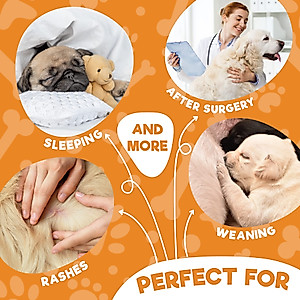 BENCMATE Dog Recovery Suit, After Surgery Dog Recovery Onesie, Professional Pet Zip Up Recovery Shirt Dog Abdominal Wound Bandages, Substitute E-Collar & Cone, Dog Onesie (Medium,Pink)