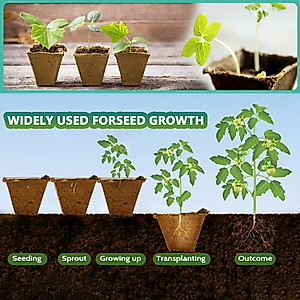 Doubleggs 120 Cells Seed Starter Tray, 10 Packs Biodegradable Peat Pots for Seedlings, Organic Germination Plant Starter Kit with 100 Labels and 2 Transplant Tools