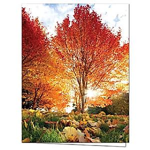 Note Card Cafe Thanksgiving Cards With Kraft Envelopes | 72 Pack | A Bountiful Thanksgiving Design Assortment | Blank Inside, Glossy Finish | For Holiday, Autumn, Fall