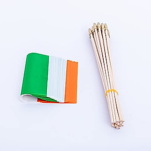 TSMD Ireland Stick Flag Irish Small Mini Hand Held Flags,5x8 Inch,12 Pack