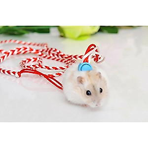 UEETEK Adjustable Hamster Harness Leash and Collar Walking for Hamster Cricetulu Rat Mouse Squirrel Small Pets Flexible Handle Rope 2M (Random Color)