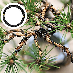 BUDDE Bonsai Tree Kit Tools Set Succulent 21 PCS Garden Hand Tool Include Pruning Shears, Carbon Steel Scissors, Perfect Starter Gardening Trimming Tools(pink), (A2ZJYYPJGJpink)