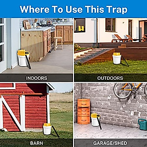 Avivos - Flip N Slide Bucket Lid Mouse Trap |Humane or Lethal| |Trap Door Style| |Multi Catch |Auto Reset| |Indoor Outdoor| |No See Kill| |5 Gallon Bucket Compatible(1 Pack)