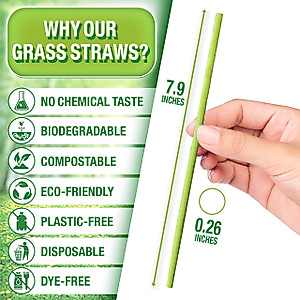 TXV Mart Eco-Friendly Disposable Party Grass Straws Drinking 100% Natural, Biodegradable, and Compostable (Pack of 100)