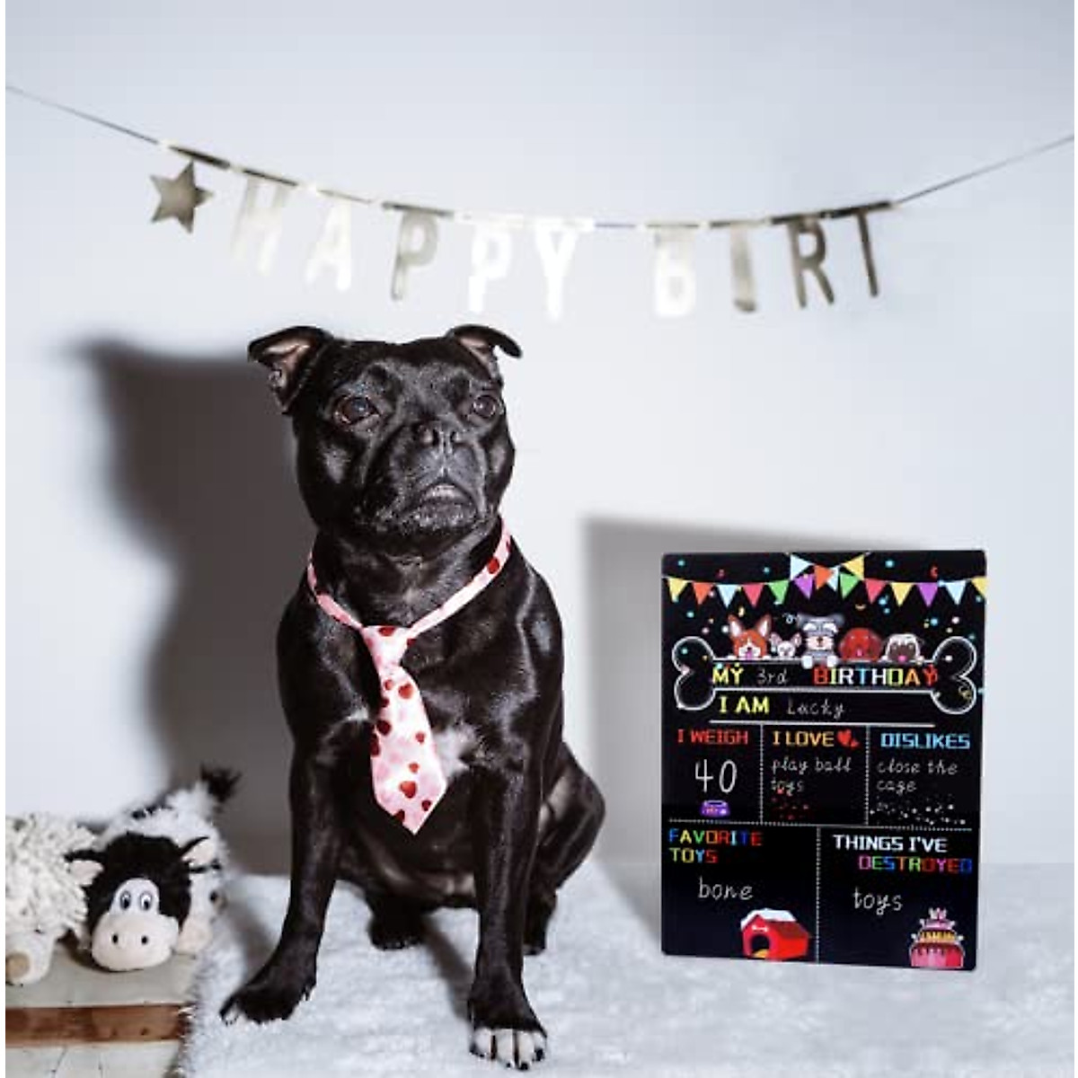 Reusable Dog Birthday Party Supplies, Double Sided Chalkboard for Dog Girl First Birthday, Dog Birthday Backdrop Props, Gift for Cat Party Decorations, Size 10"*12"