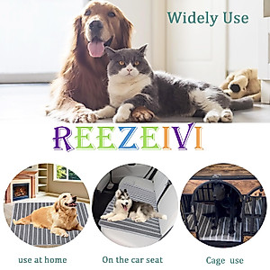 REEZEIVI Breathable Dog Crate mat with Anti-Slip Bottom,3D air mesh Pet Crate pad,Non-stuffy Dog Sleeping mat Bed,pet mat, Machine Washable Pet Mat for Dog Sleeping (30X19, Sliver Grey Mat)