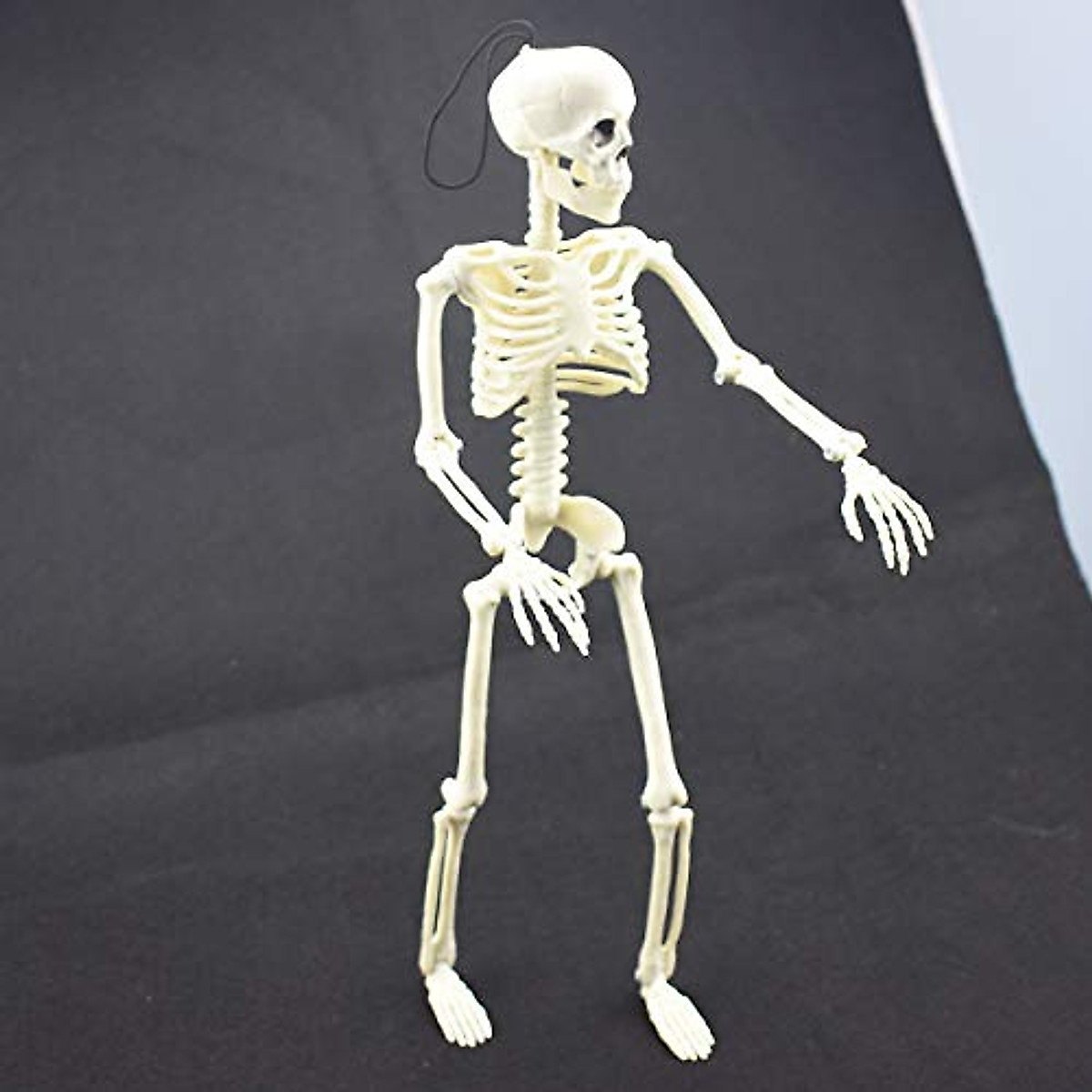 XONOR 16” Posable Halloween Skeleton- Full Body Halloween Skeleton with Movable Joints for Haunted House Props Decorations (1pc)