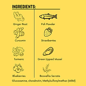 Natural Organic Hip and Joints Supplement Powder for Dogs, Fight Arthritis Pain, Support Mobility,Anti Inflammation Property of Turmeric, Glucosamine, MSM, Chondroitin, Ginger, Green Lipped Mussel