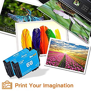 Run Star 2 Pack 69 Cyan Remanufactured Ink Cartridge Replacement for Epson 69 T069 use for Epson Stylus C120 CX5000 6000 7400 N11 NX100 105 110 115 200 215 Workforce 1100 1300 Printer (2 Cyan)
