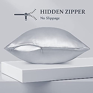 LULUSILK Silvergrey Silk Pillowcase for Hair and Skin, Mulberry Silk Pillow Case with Zipper Closure, Standard Size, Pack of 1