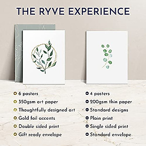 RYVE Botanical Wall Art - Set of 6 Botanical Prints - Art Prints, Plant Wall Decor, Eucalyptus Wall Decor, Plant Wall Art Prints, Green Wall Art Decor, Plant Prints, Leaf Wall Art (8x10 - UNFRAMED)