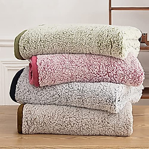 EMME Fuzzy Fleece Warm Blanket 50"x60" Throw Size Ultra Soft Warm Sherpa Blanket Microfiber Cozy Blanket for Couch Sofa Lightweight Fuzzy Thick Reversible Couch Blanket (Sage, 50"x60")