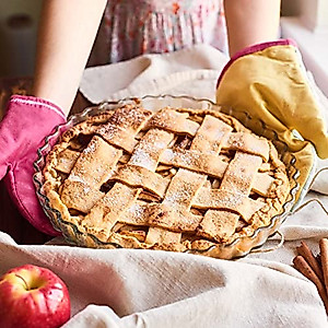 PERFECT PLANTS Red Delicious Apple Tree 1 Gallon | Live Fruit Trees for Outdoor Planting | Fast Growth Rate Produces Fruit in Year 2-3 | Sweet & Healthy Red Apples for Home Gardening