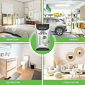 Spider Trap – 12 Pack | Sticky Indoor Glue Traps for Spiders and Other Bugs and Crawling Insects | Adhesive Spider Bait Trap, Monitor, Killer and Detector for Pest Control