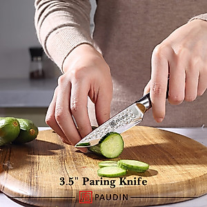 PAUDIN Paring Knife, 3.5 Inch Paring Knives for Kitchen, Fruit Knife, Tomato Knife, Sharp High Carbon Stainless Steel Fruit Carving Knife with Ergonomic ABS Handle, Handcrafted Peeling Knife
