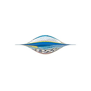 OxiClean Color Boost Laundry Brightener and Stain Remover Power Paks, 26 Count