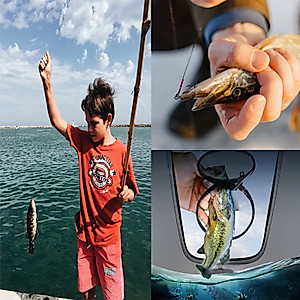 WHCDSTGJ Transparent Lid Fishing Bucket, Portable Foldable Fishing Bucket, Live Bait Bucket with Aeration Hole, for Bait Bucket, Live Fish Bucket, Live Bait Storage.4/6/8 gallons (8 gallons)