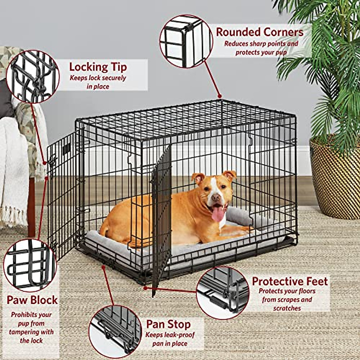 Dog Crate | MidWest Life Stages 36" Double Door Folding Metal Dog Crate | Divider Panel, Floor Protecting Feet, Leak-Proof Dog Pan | 36L x 23W x 25H Inches, Intermediate Dog Breed