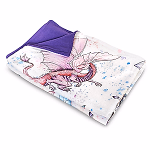 Girl's Dragon, Unicorn Fairy Baby Blanket | 30x40 Inches | Soft Minky Purple Fleece | Unique Baby Gift