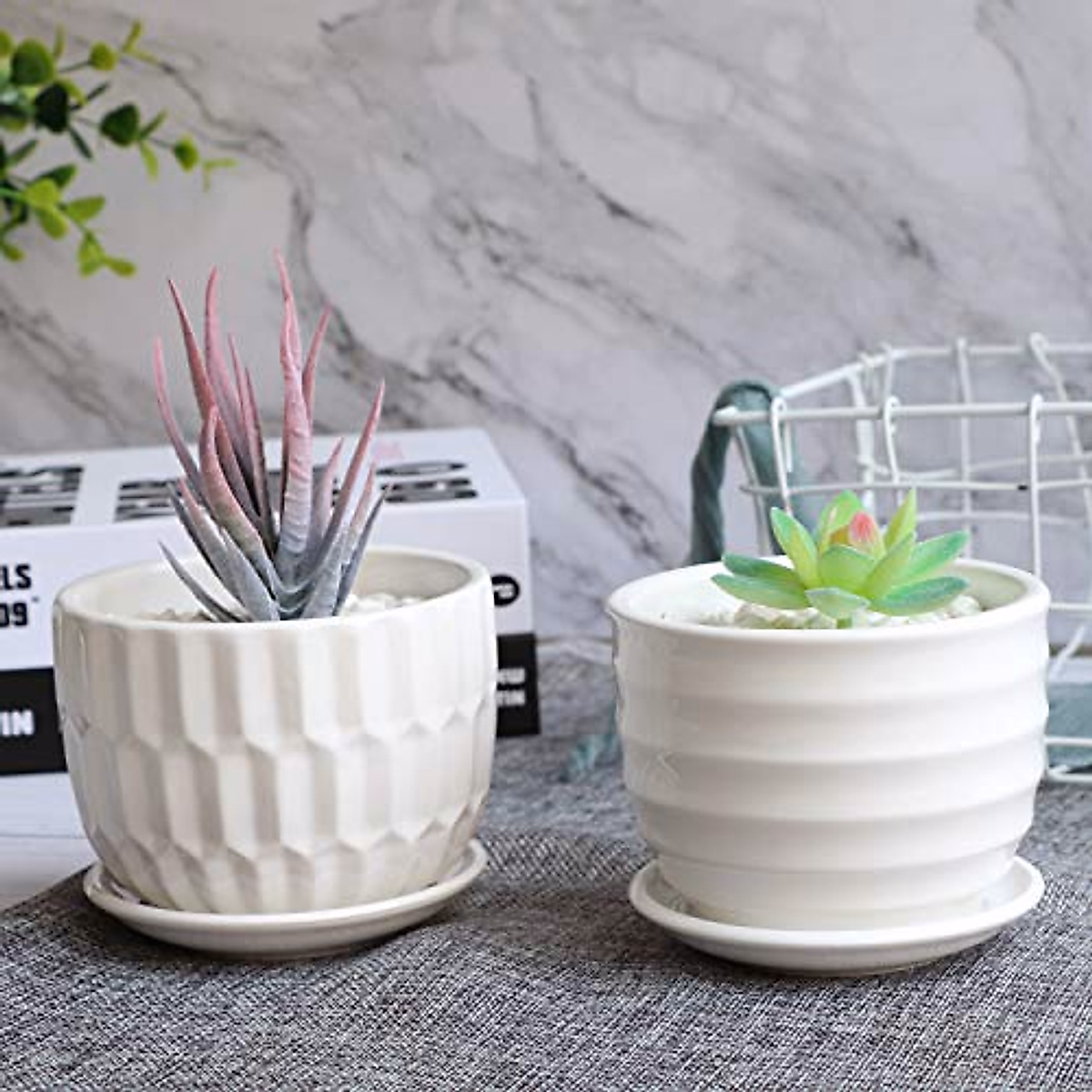 Brajttt Flower Pots, 4 Inch Cylinder Ceramic Plant Pots with Connected Saucer, Mini Ceramic Planters for Succulent and Little Snake Plants (6 Pack, White)