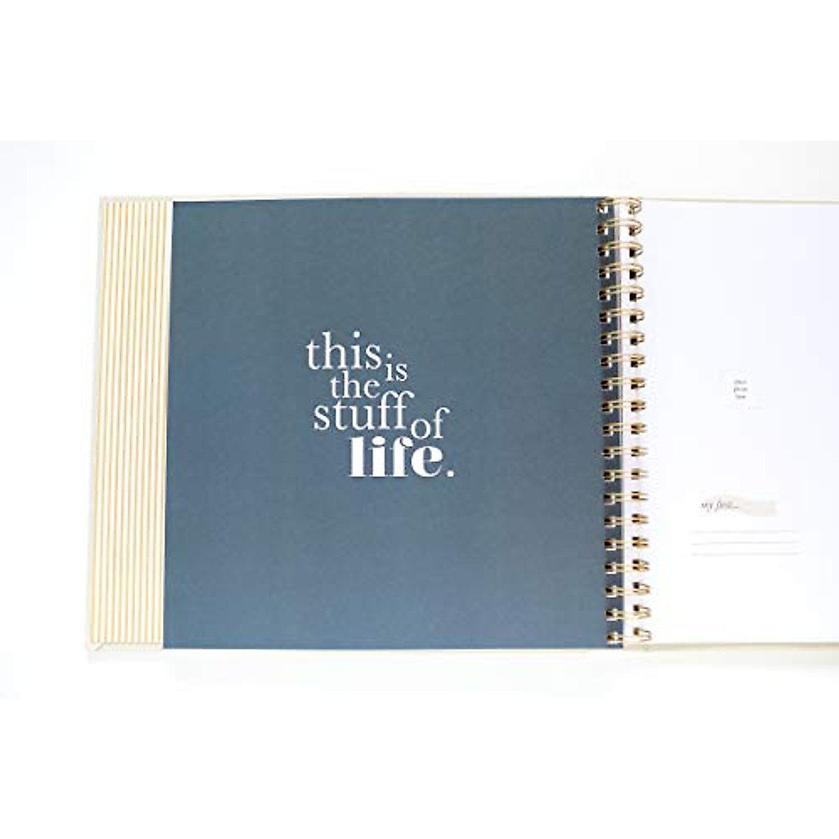 The Baby Memory Book: Beautiful Modern Baby Book and Scrapbook for Baby's First Years to Track Special Moments, Milestones and Growth from Pregnancy to First 5 Years