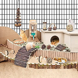 ERKOON 11 Pack Chinchillas Chew Toys, Toys Accessories for Teeth Care, Natural Apple Wood Ladder Bell Roller for Russian Hamster Gerbils Rats Guinea Pigs