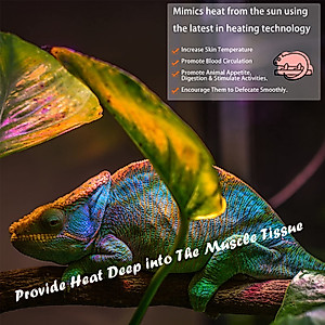 ExoRepti Deep Heat Projector Reptile Heat Lamp Bulb (DHP 55W, PAR30), Basking Light for Bearded Dragon & Leopard Gecko, Carbon Infrared Heater for Amphibian Pet