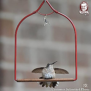 POP'S Birding, The Original Charm Hummingbird Swing for Outdoors - Perfect Bird Perch for Small Birds - Sturdy Steel Metal Swing Set with Hook Included