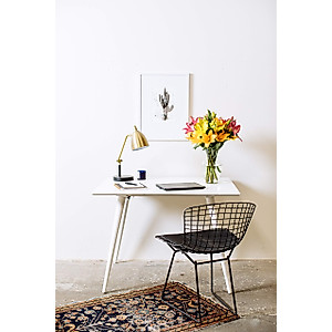 BENCHMARK BOUQUETS - 12 Stem Asiatic Lilies (Glass Vase Included), Next-Day Delivery, Gift Fresh Flowers for Birthday, Anniversary, Get Well, Sympathy, Graduation, Congratulations, Thank You