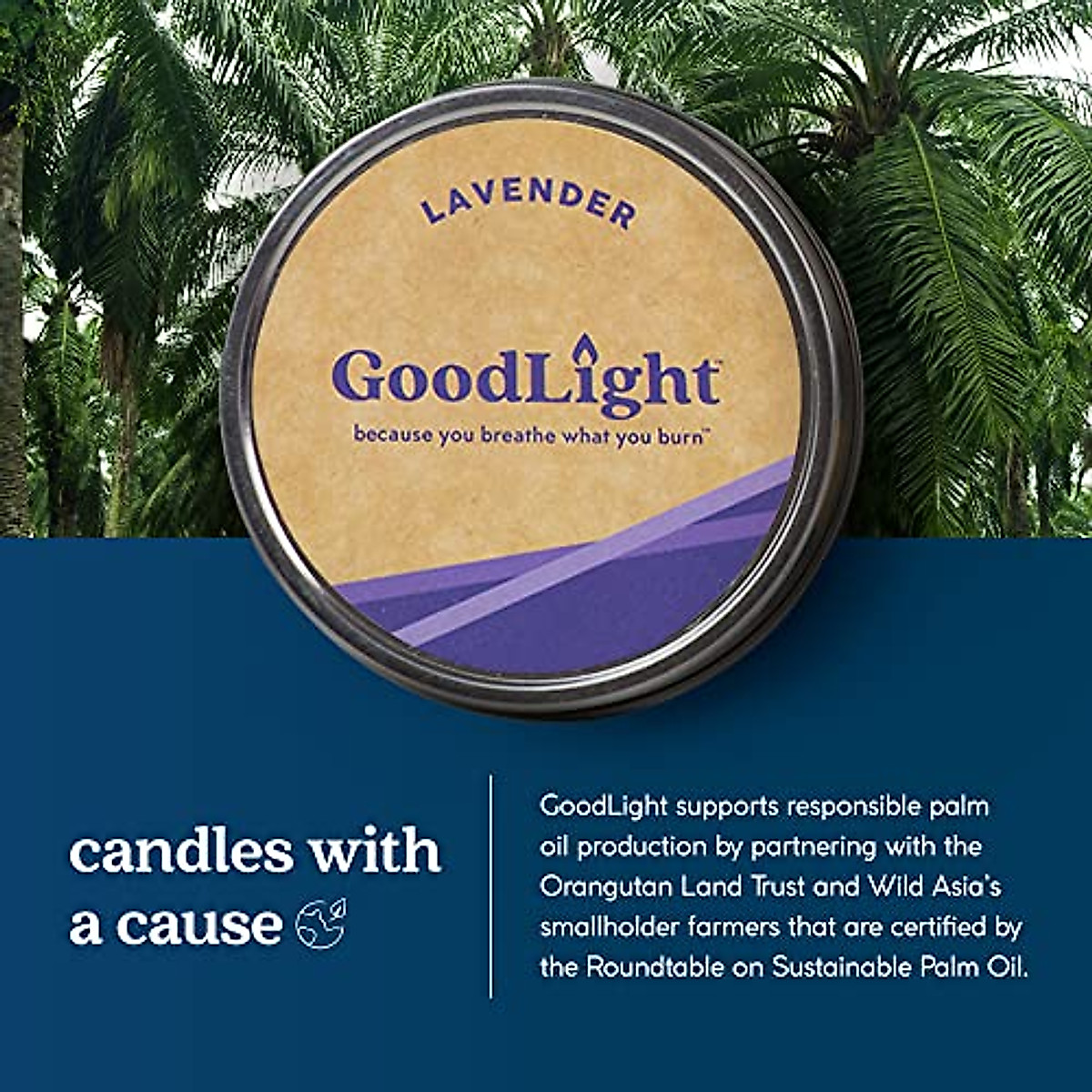 Paraffin-Free Scented Candle, Tin Candles, Birthday Gifts for Women & Men, 30-Hour Burn Time (Lavender, 6 oz)