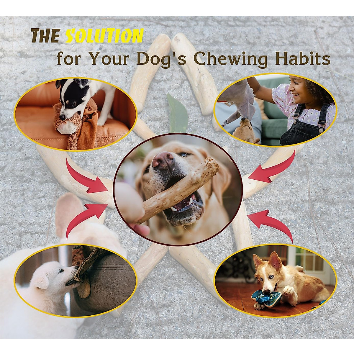 BENRIKIDS Real Coffee Wood Dog Chew, Long Lasting, Durable Chewable Stick and Dog Toy, Wood Chew Toy for Dogs, Dental Care & Chewing Muscle Training Coffee Wood Stick for Dogs, 1Pc Size M